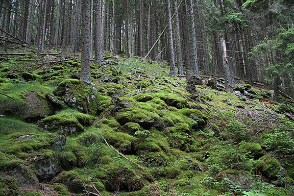 Beautiful Natural Sights Around Czech Republic - Czechology