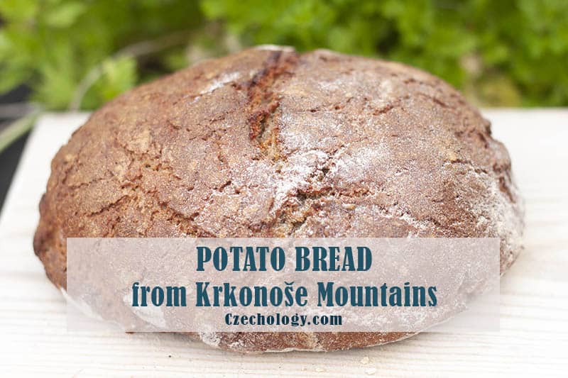 Potato Bread from Krkonoše - Czechology