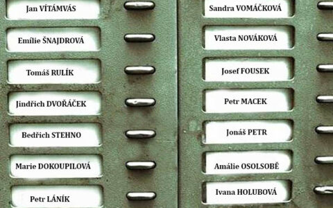 Most Common Czech Baby Names - Czechology